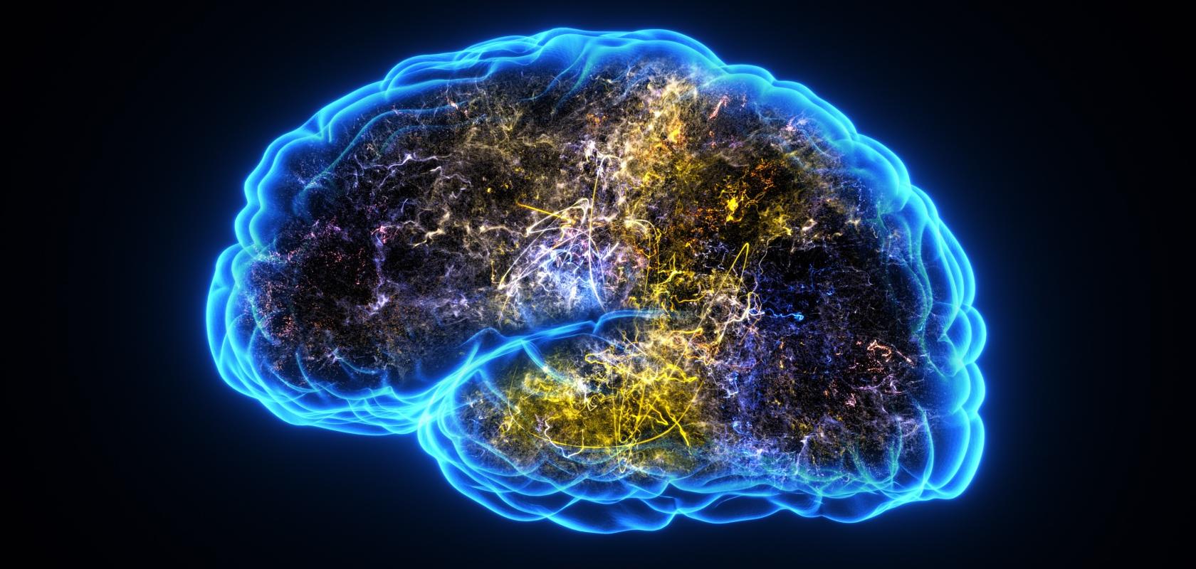 Mesoscopic technique captures brain activity in exceptional detail ... Mesoscopic technique captures brain activity in exceptional detail ...